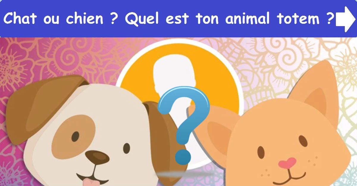 Chat ou chien ? Quel est ton animal totem