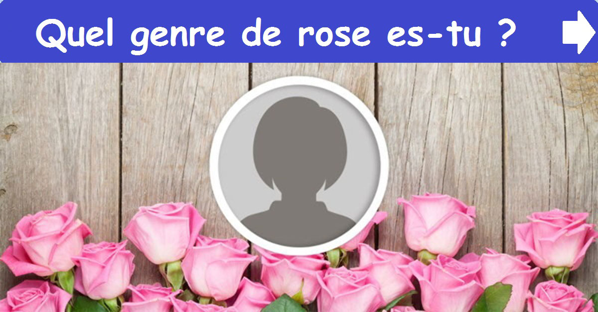 Quel genre de rose es-tu